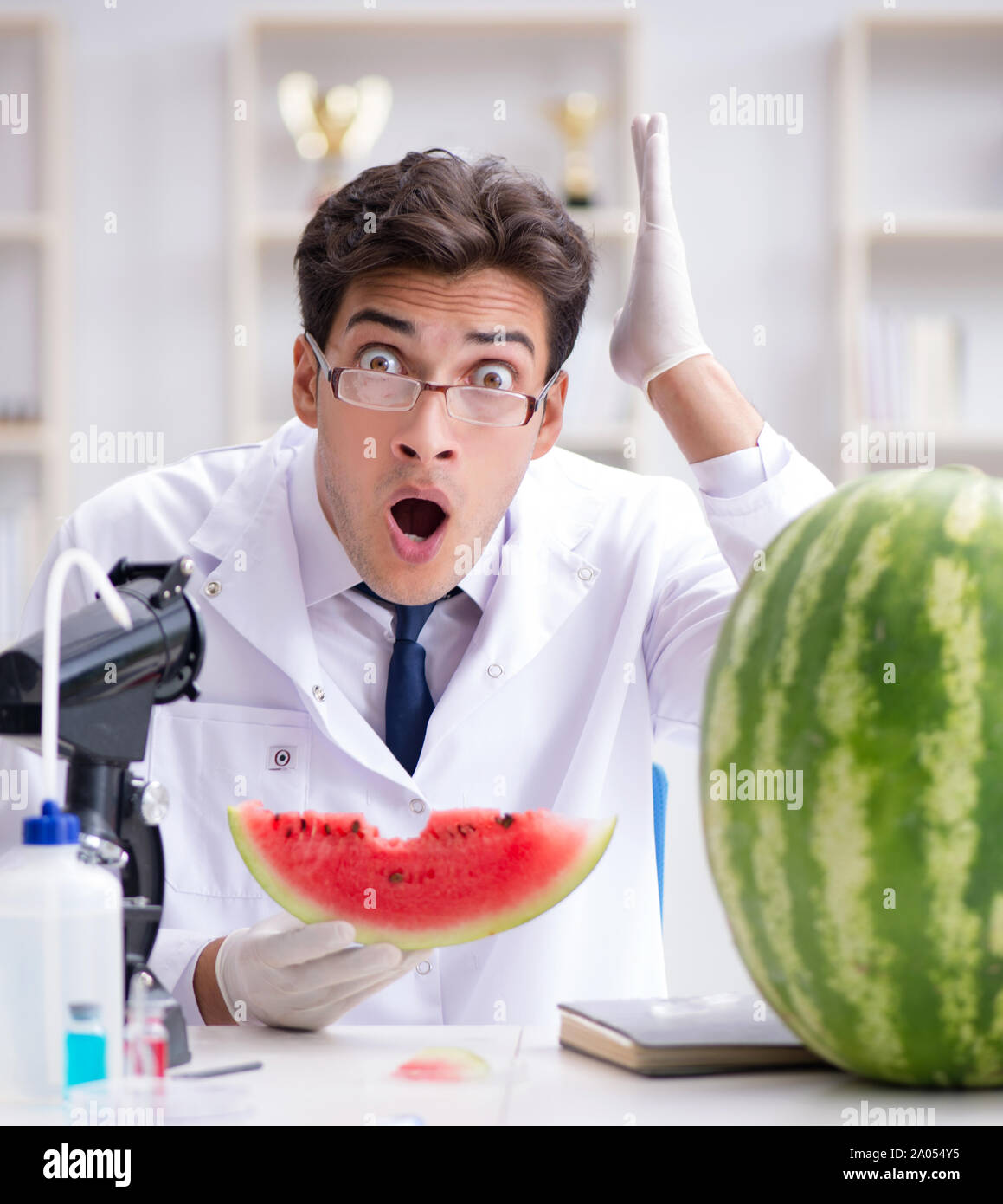 The scientist testing watermelon in lab Stock Photo - Alamy