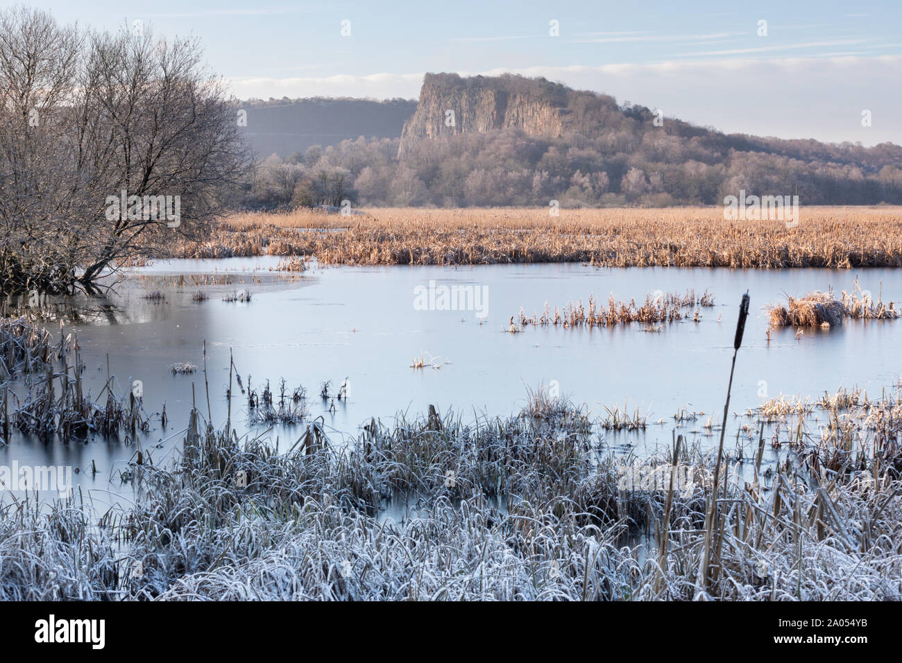 Northern ireland reed beds hi-res stock photography and images - Alamy