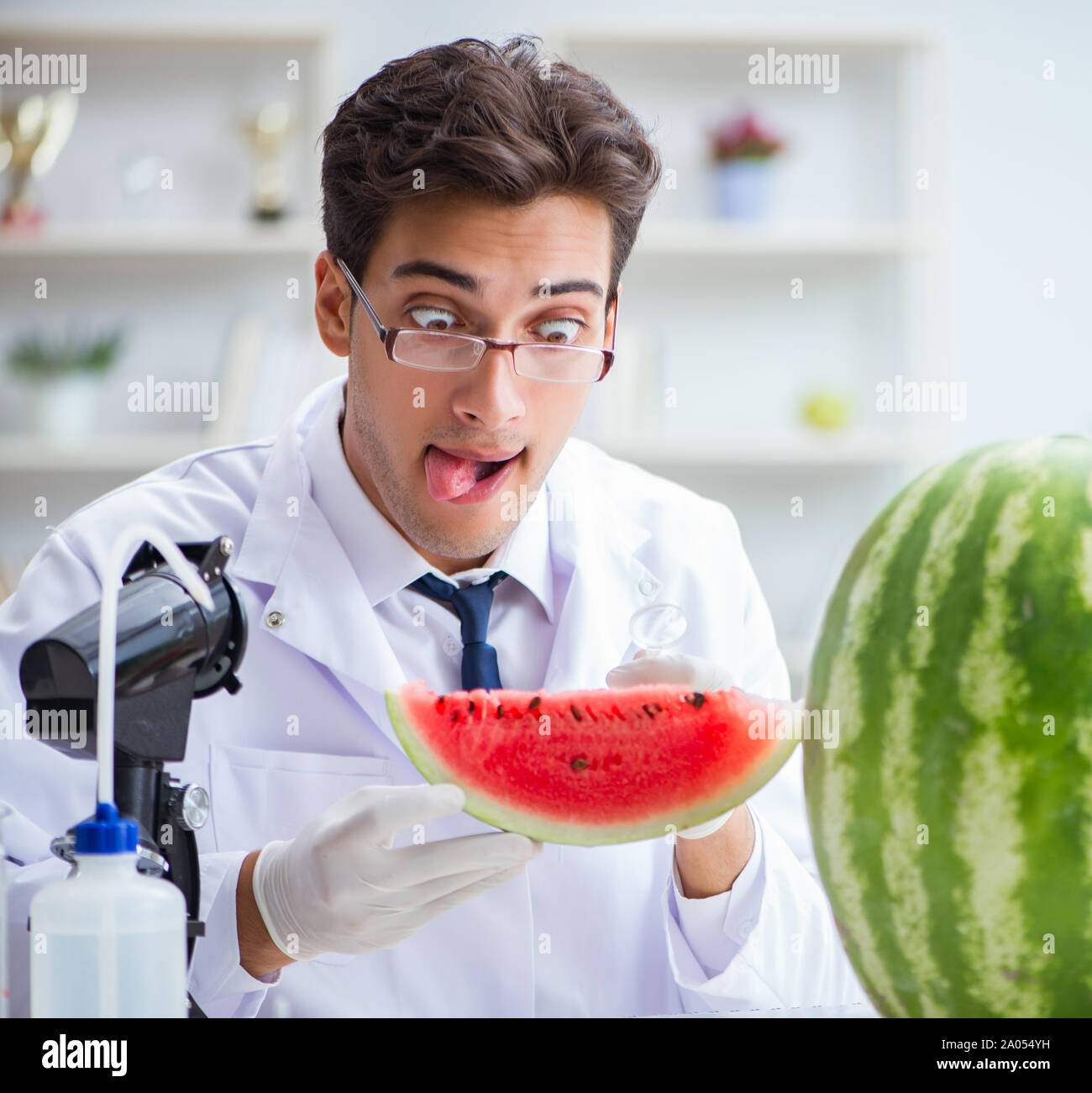 The scientist testing watermelon in lab Stock Photo - Alamy