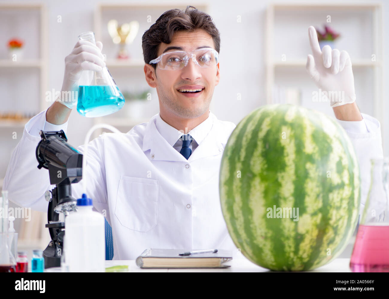 The scientist testing watermelon in lab Stock Photo - Alamy