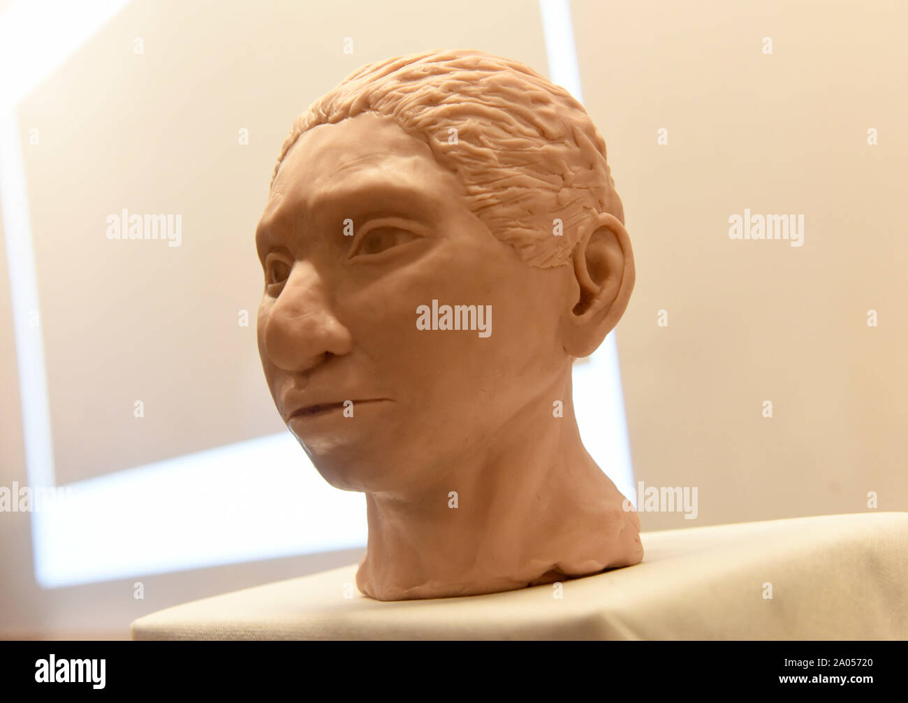 Denisovan Reconstruction