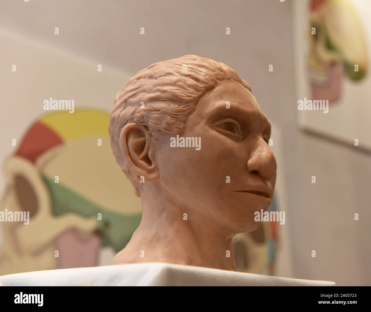 Denisovan Reconstruction