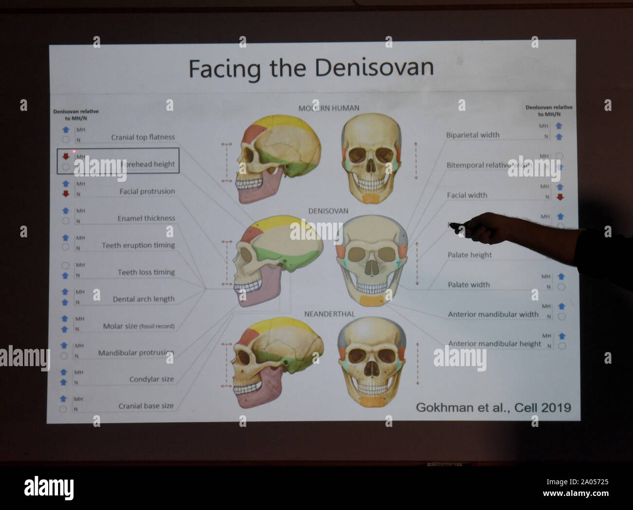 Professor Liran Carmel, a researcher at the Hebrew University of ...