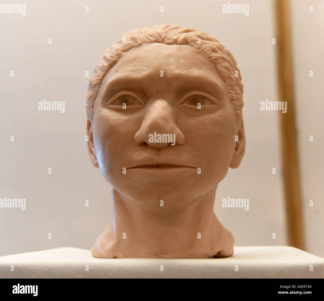 Denisovan Reconstruction