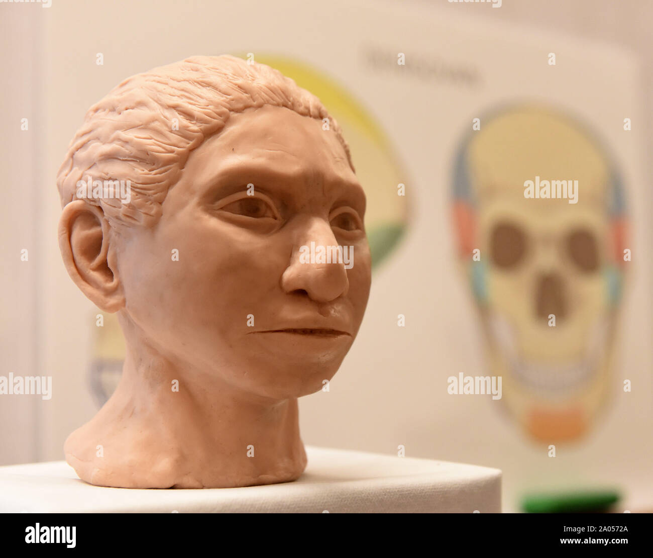 Denisovan Reconstruction