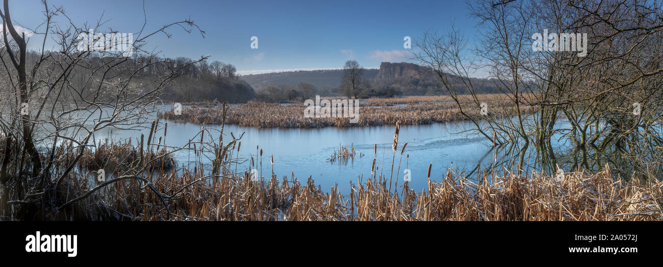 Freshwater wetland areas hi-res stock photography and images - Alamy