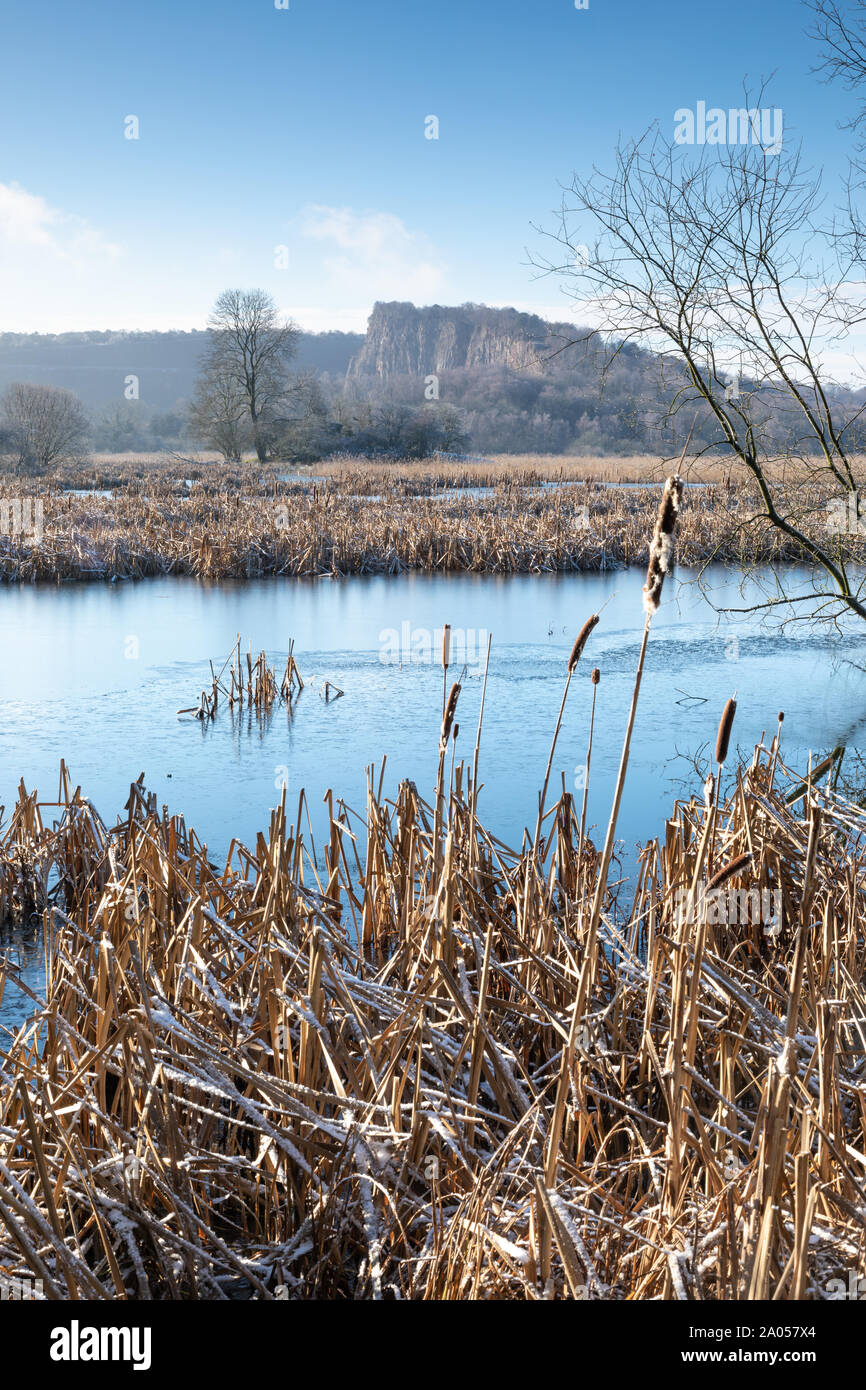 Northern ireland reed beds hi-res stock photography and images - Alamy