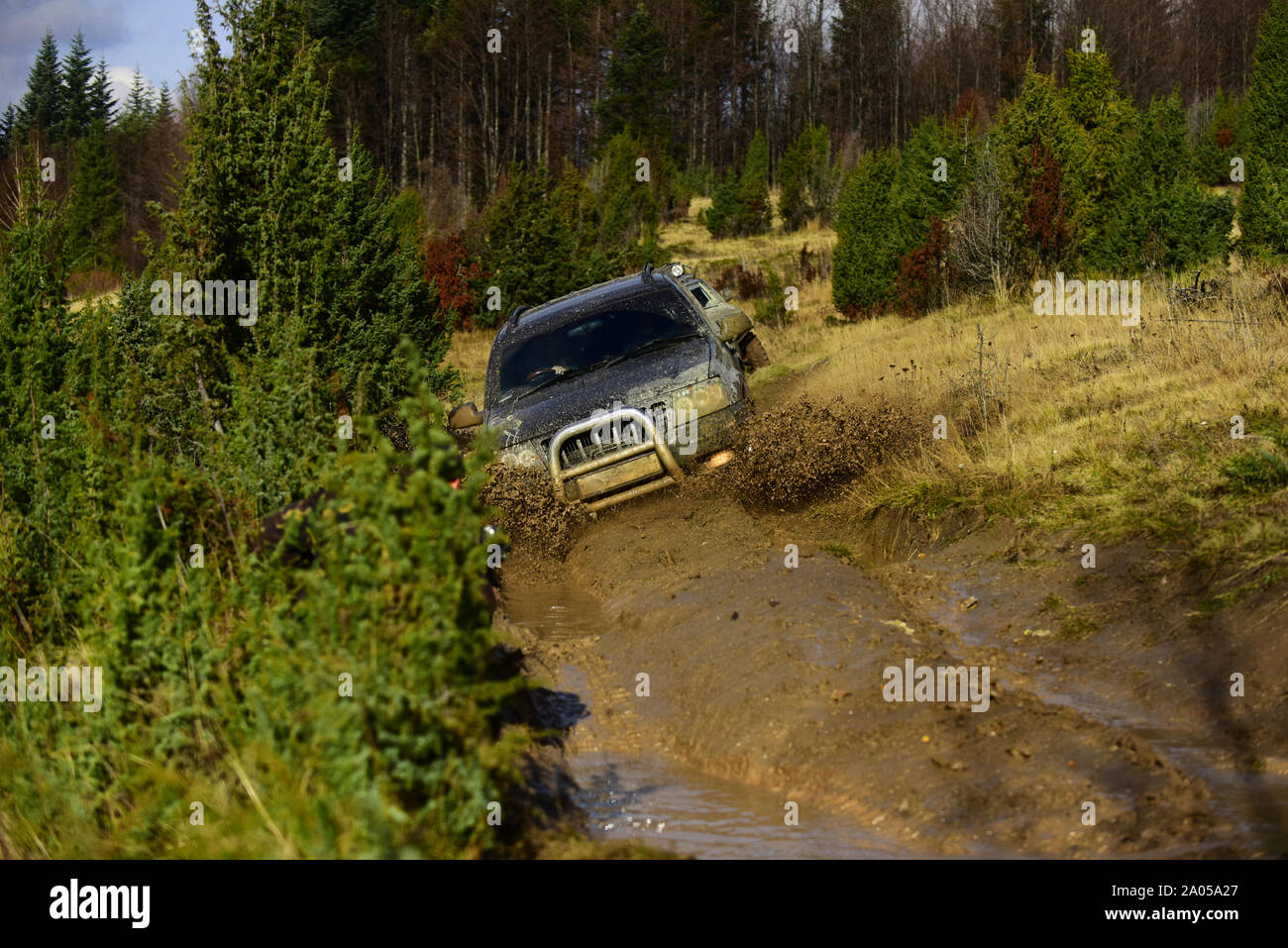 Car racing in autumn forest. Off road vehicle or SUV overcomes ...