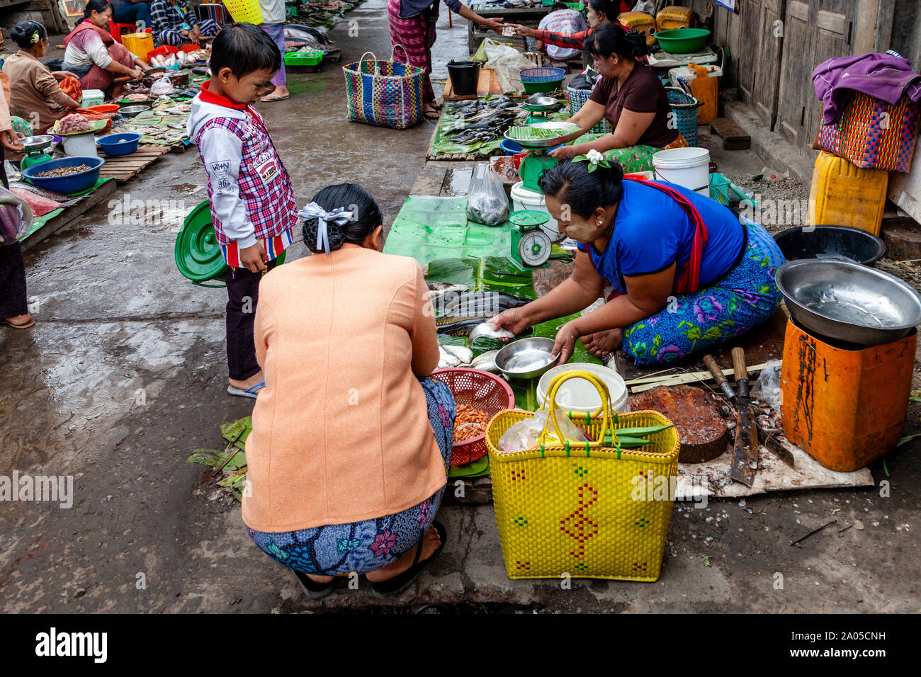 Local Burmese Women Selling Fresh Fish In Mingalar Market, Nyaung Shwe ...