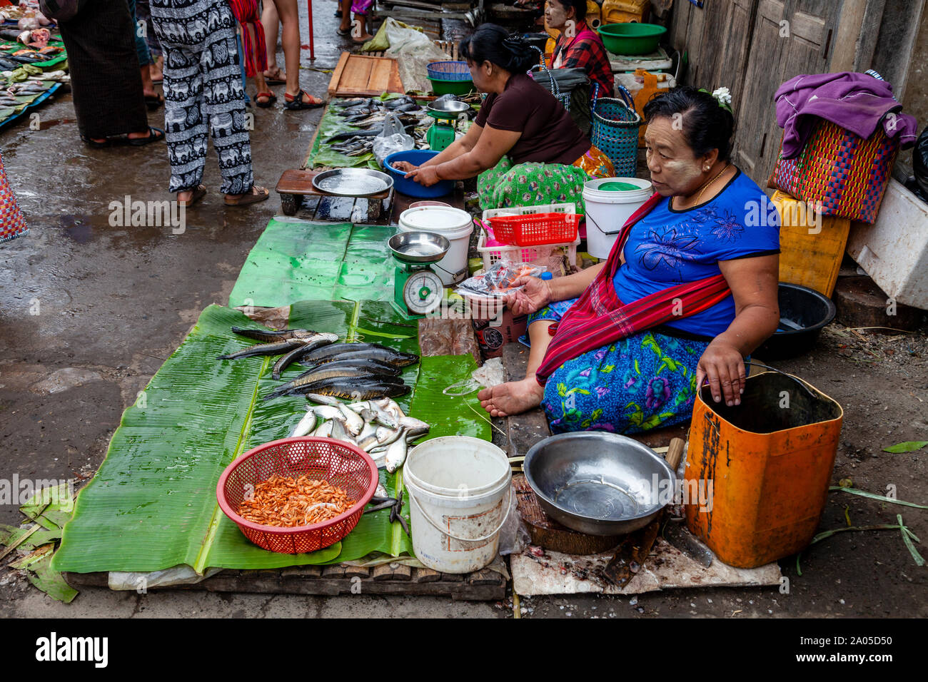 Fish woman hi-res stock photography and images - Alamy