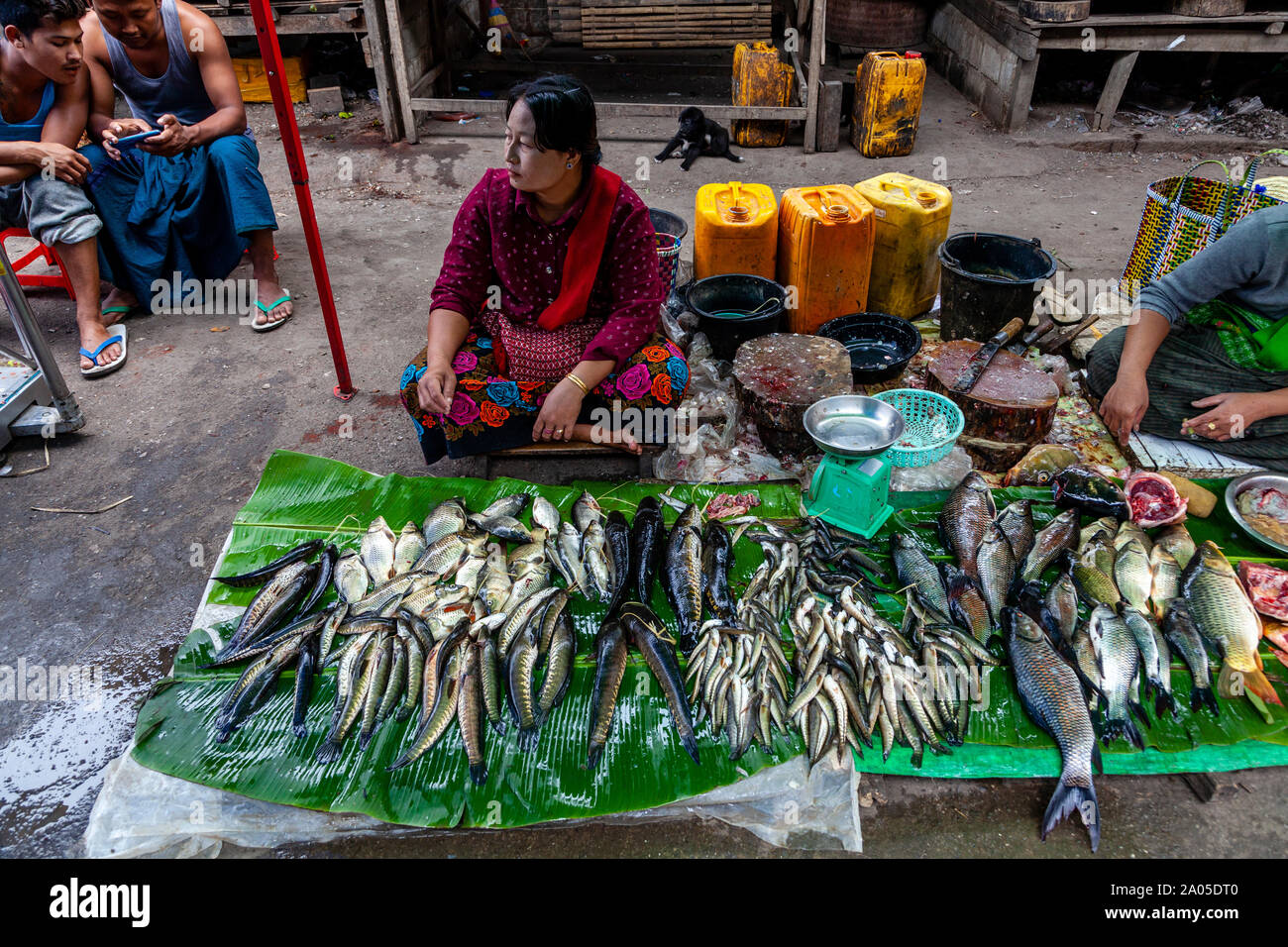 A Local Burmese Woman Selling Fresh Fish In Mingalar Market, Nyaung ...