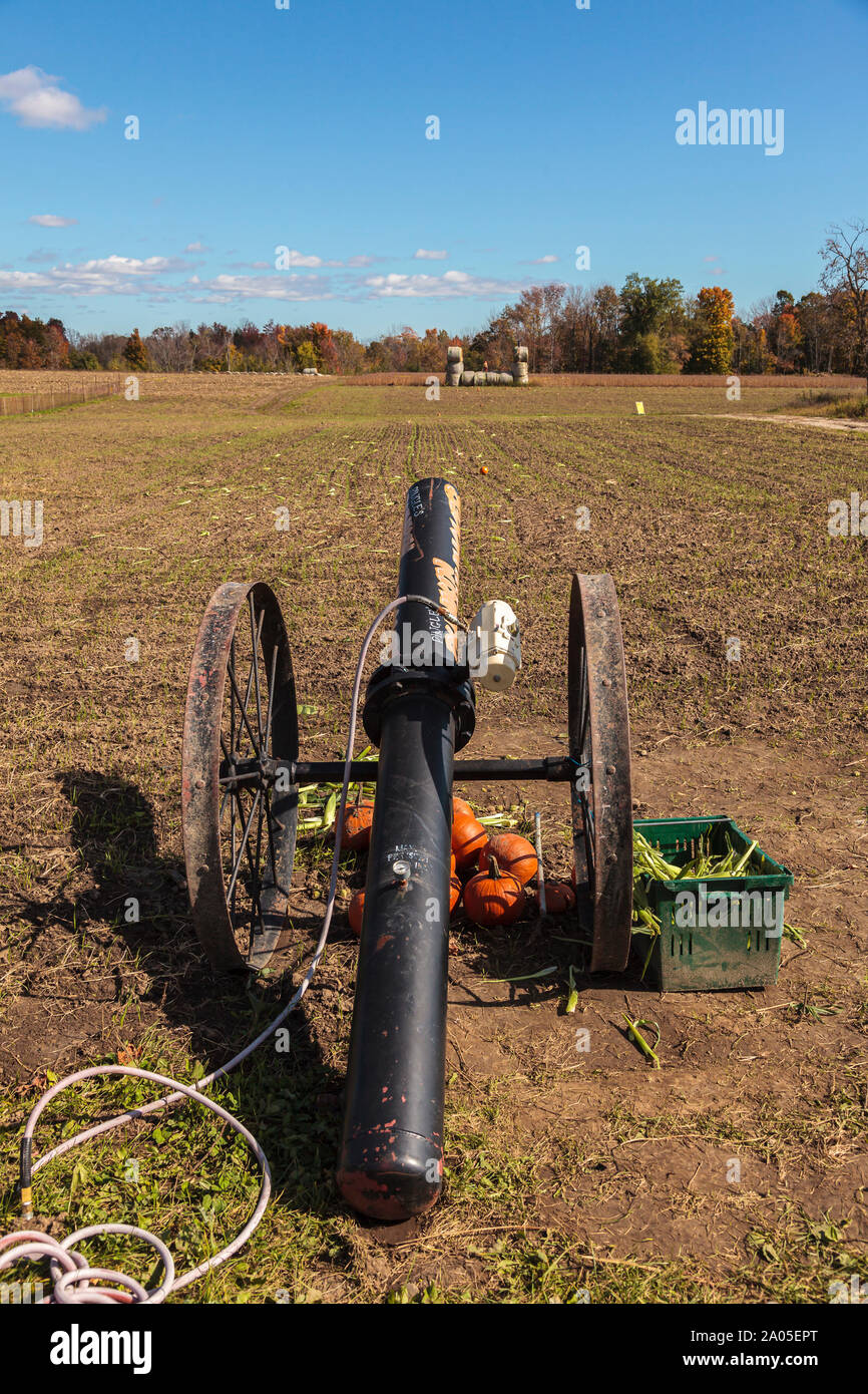 Pumpkin cannon hi-res stock photography and images - Alamy