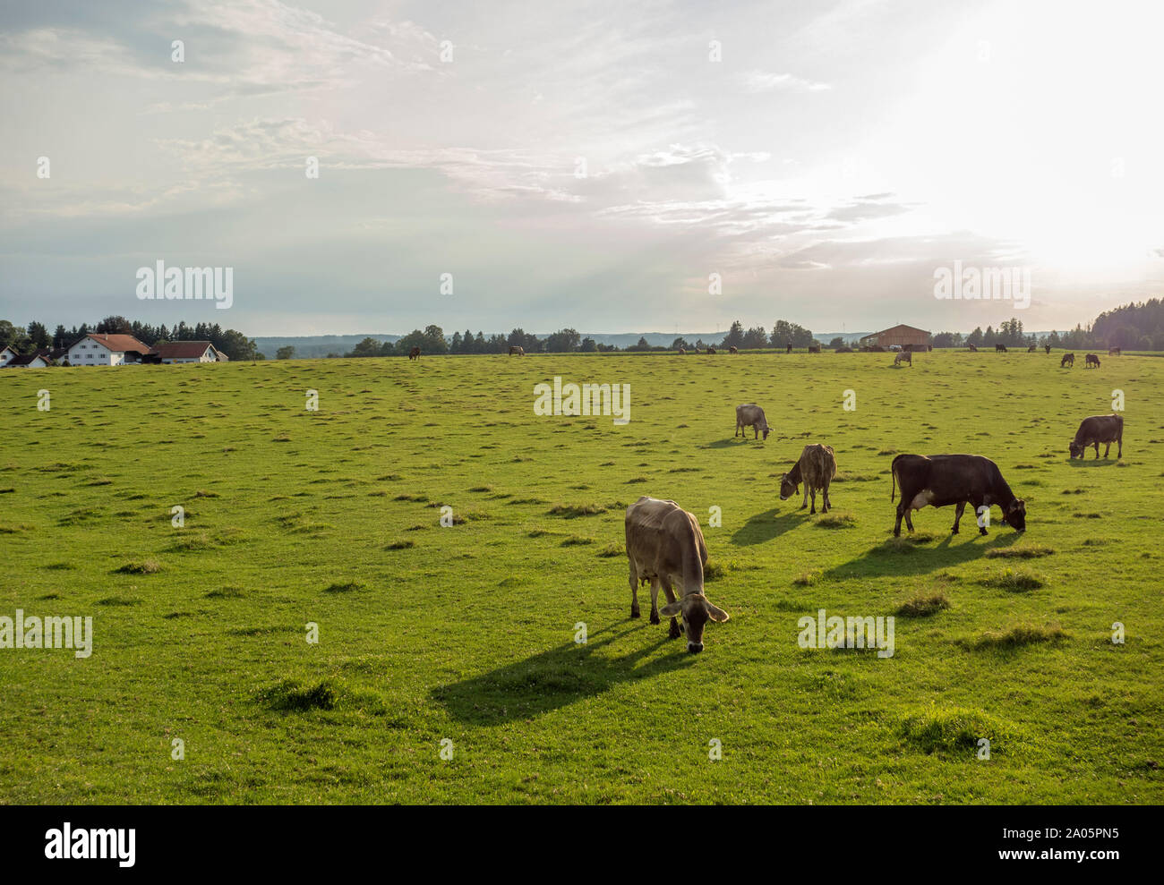 Field upper bavaria hi-res stock photography and images - Alamy