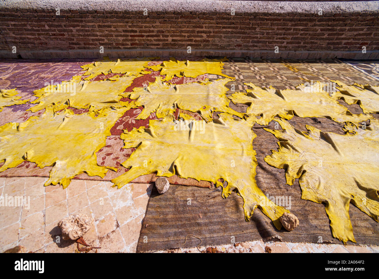 Saffron production hi-res stock photography and images - Alamy