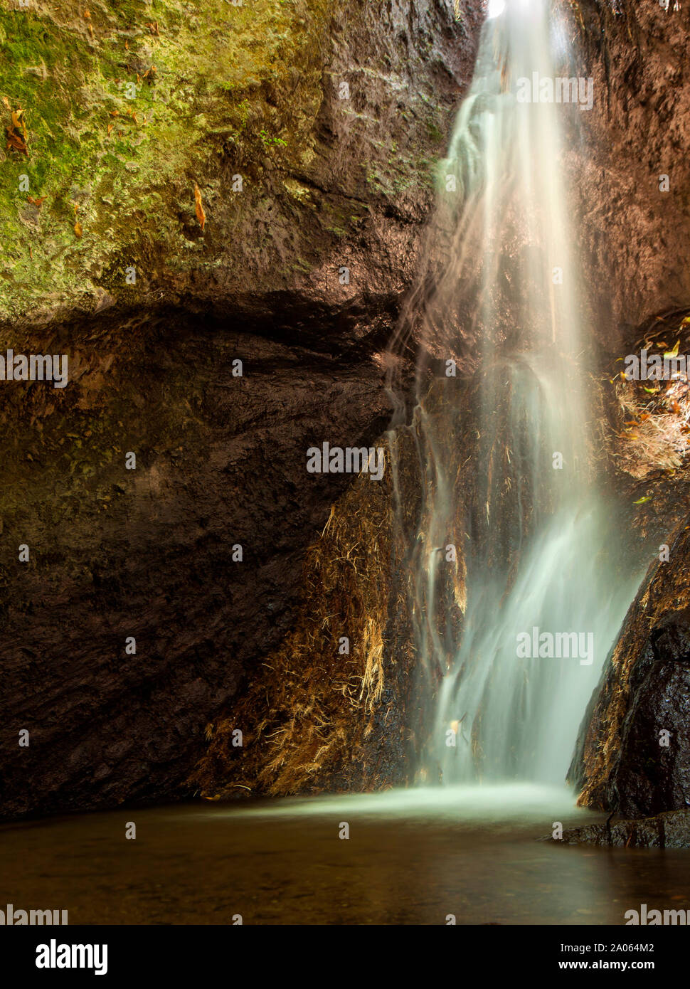 Gran Canaria, ravine Barranco de los Cernicalos, small waterfall Stock ...