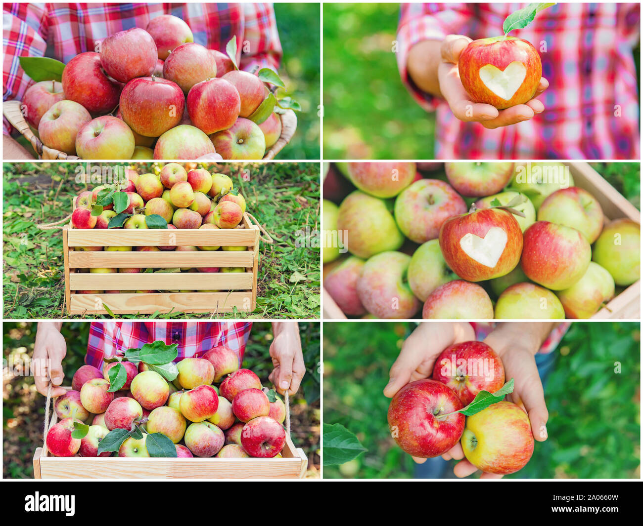 Food collage heart healthy Cut Out Stock Images & Pictures - Alamy