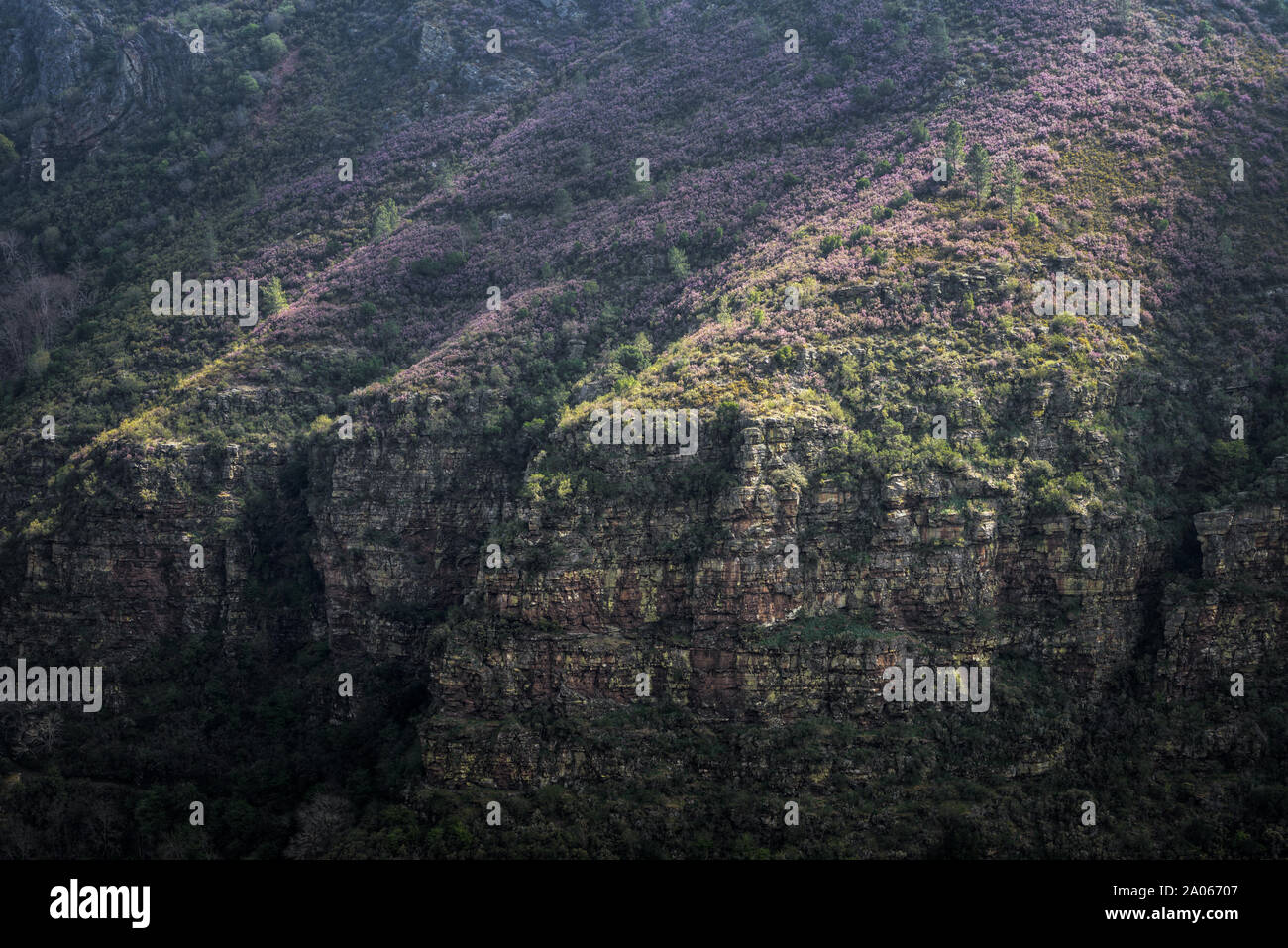 Quartzite cliff showing geological folding bands in the Geopark ...