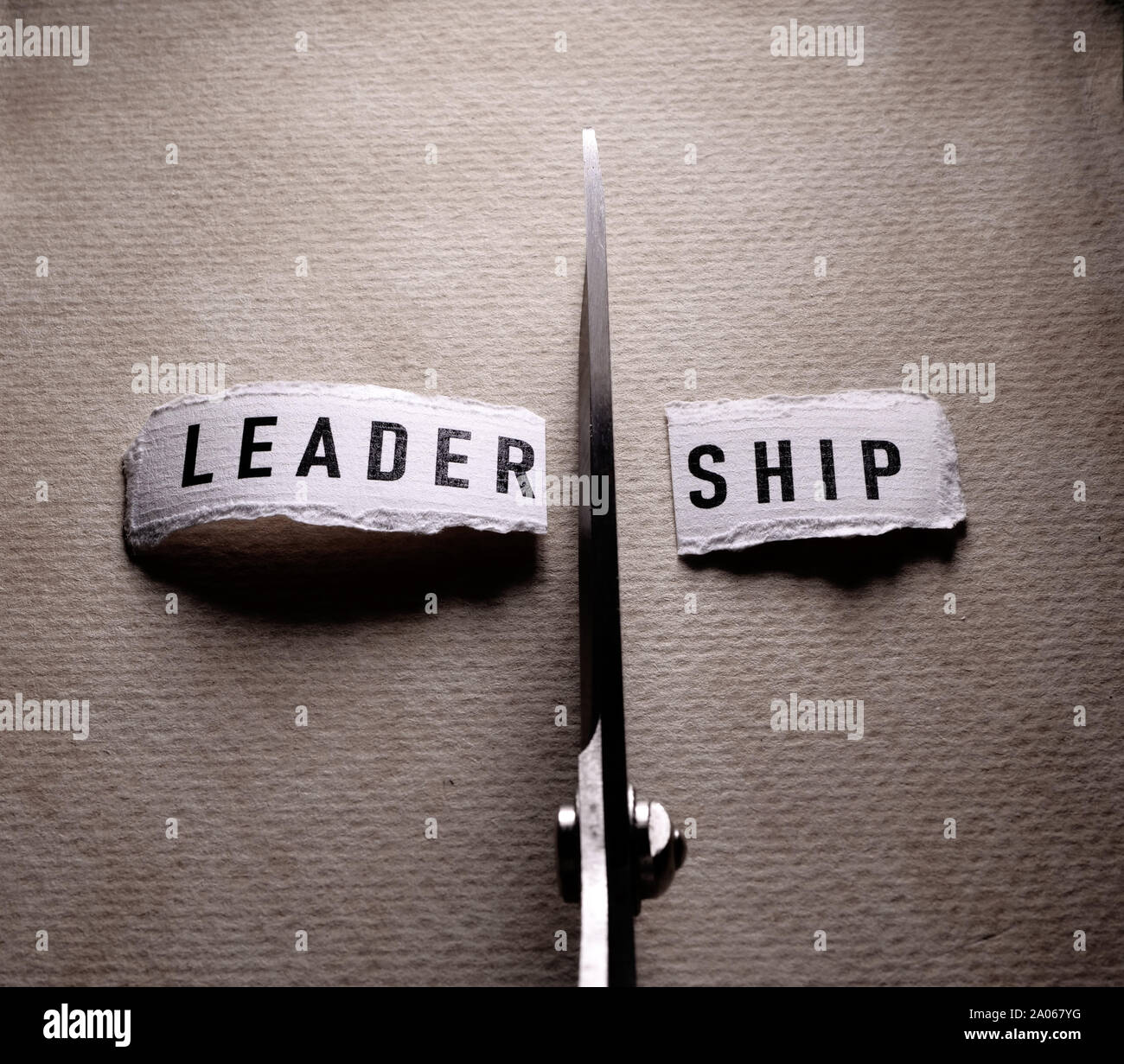 No leadership label tag close up Stock Photo - Alamy