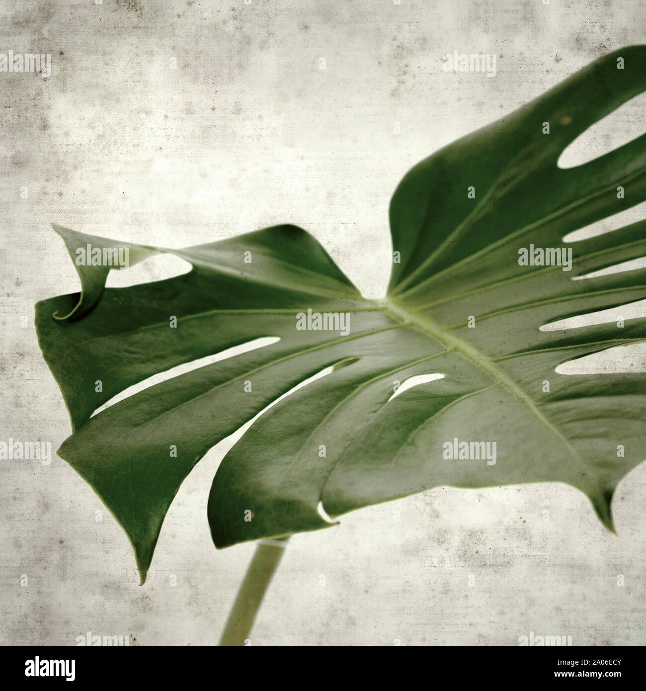 textured stylish old paper background, square, with large green shiny ...