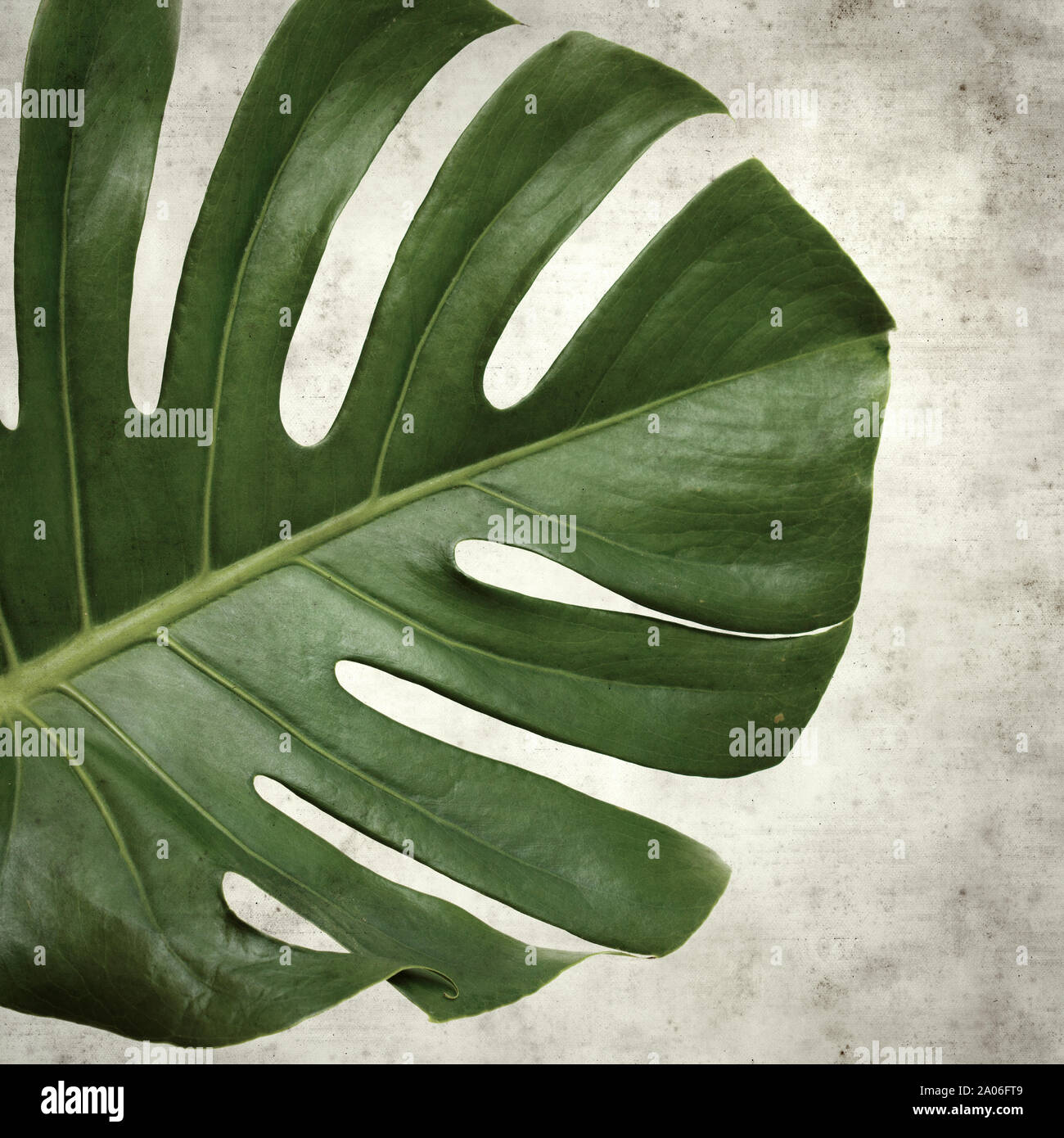 textured stylish old paper background, square, with large green shiny ...