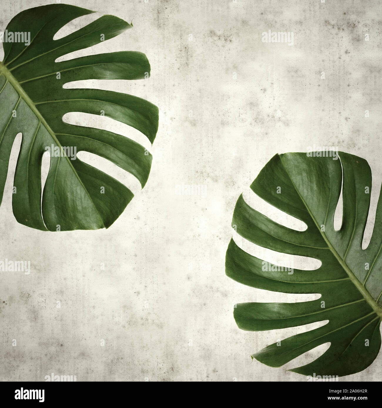 textured stylish old paper background, square, with large green shiny ...