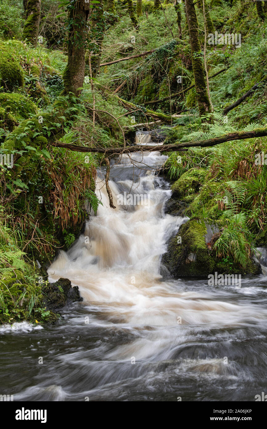 Cree summer hi-res stock photography and images - Alamy