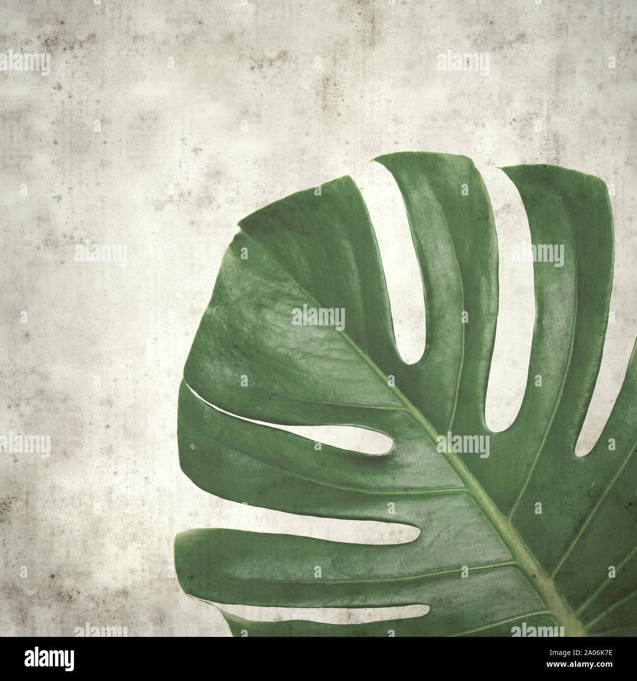 textured stylish old paper background, square, with large green shiny ...