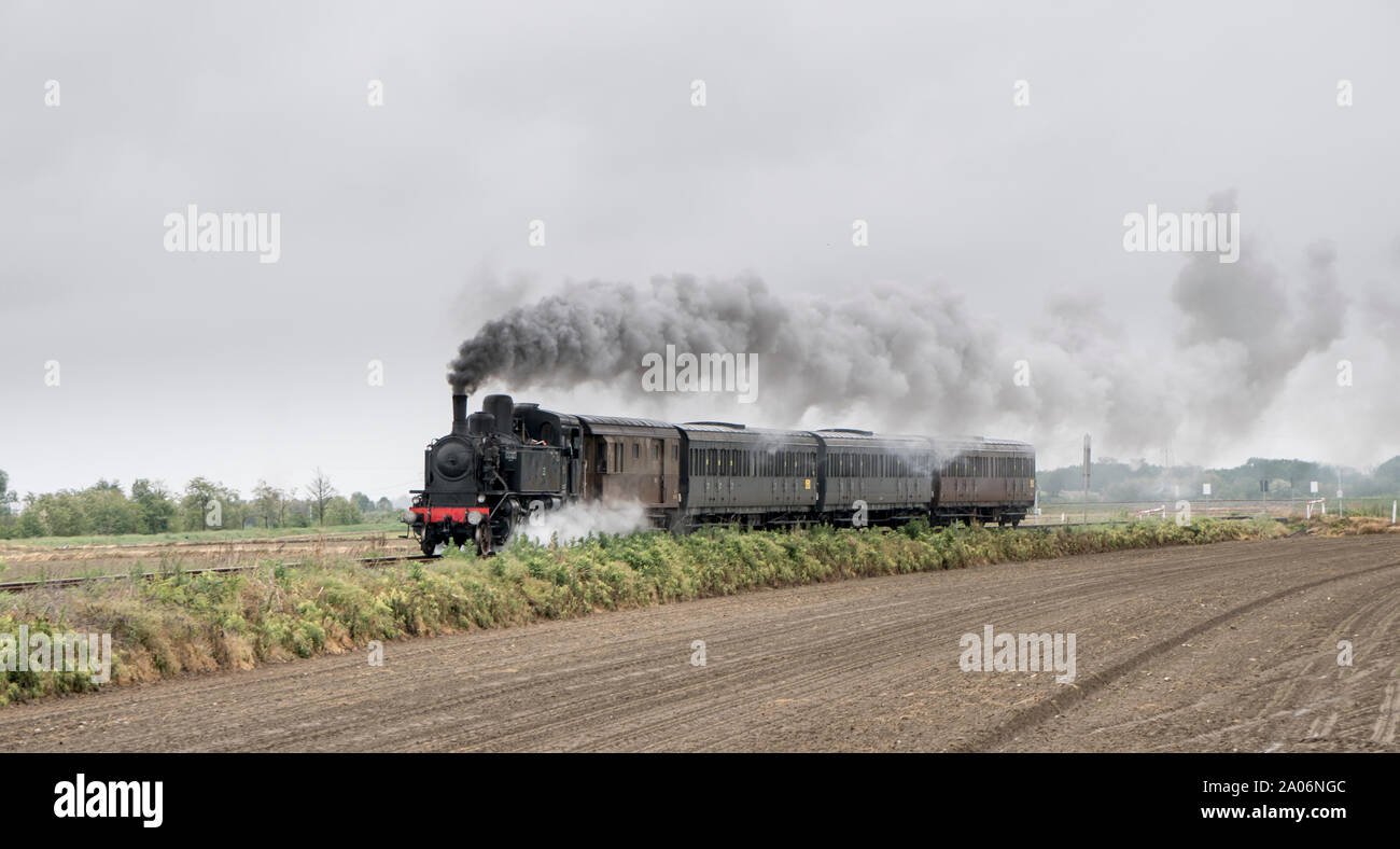 Vintage steam train with ancient locomotive and old carriages runs on ...