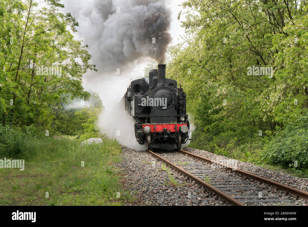 Vintage steam train with ancient locomotive and old carriages runs on ...