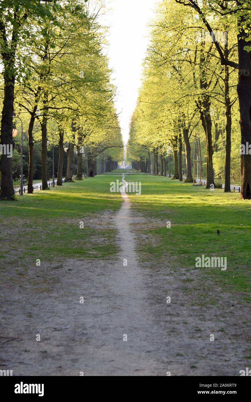 In berlins tiergarten hi-res stock photography and images - Alamy