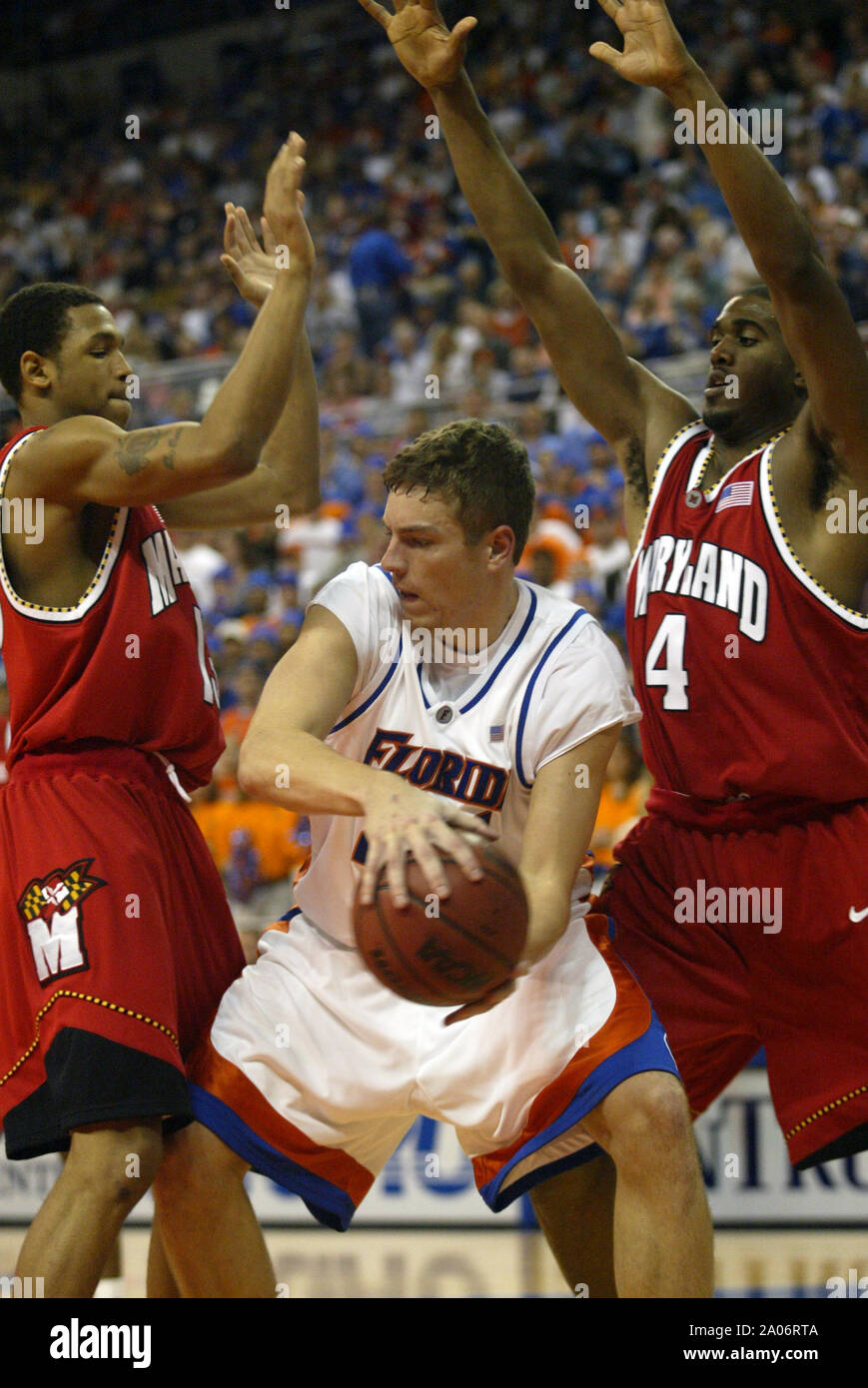 David lee hi-res stock photography and images - Alamy