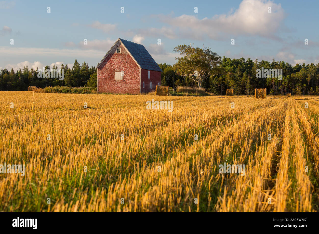 Old red barn in a field of cut hay Stock Photo - Alamy