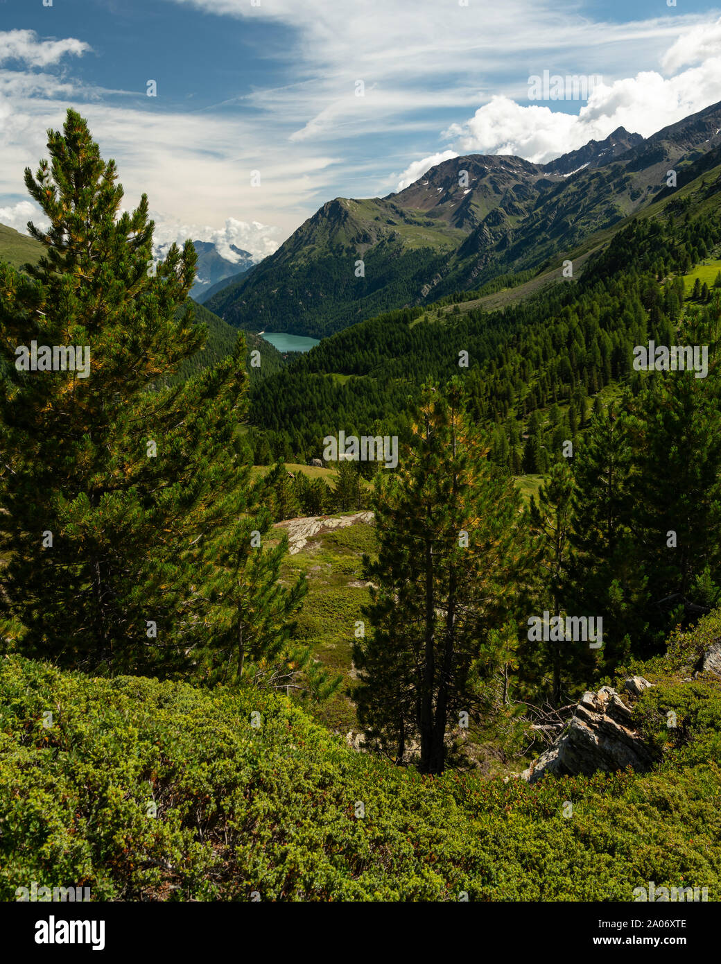 Martell valley hi-res stock photography and images - Alamy