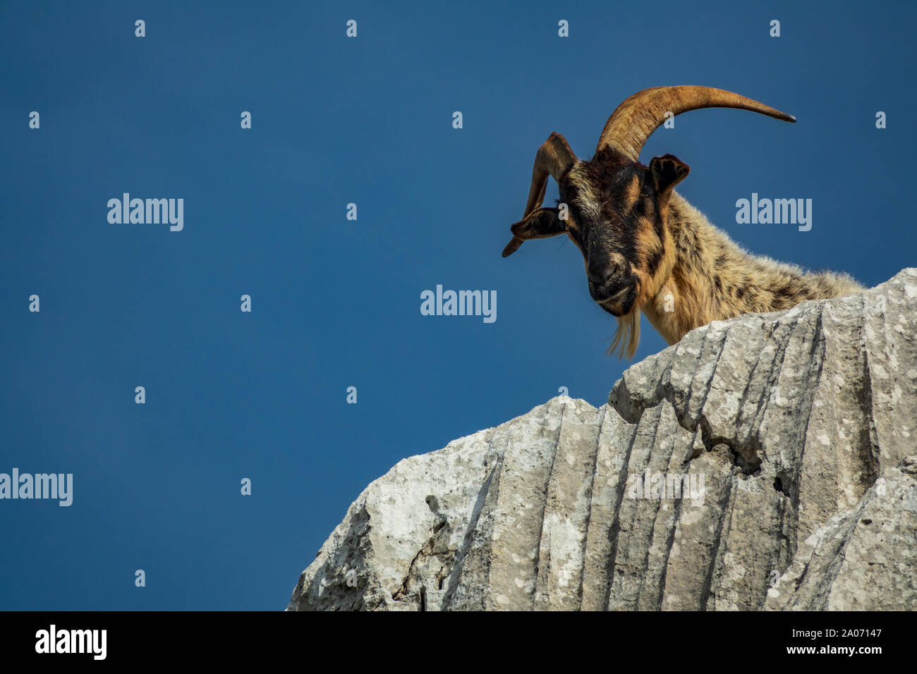 Head looking down hi-res stock photography and images - Alamy