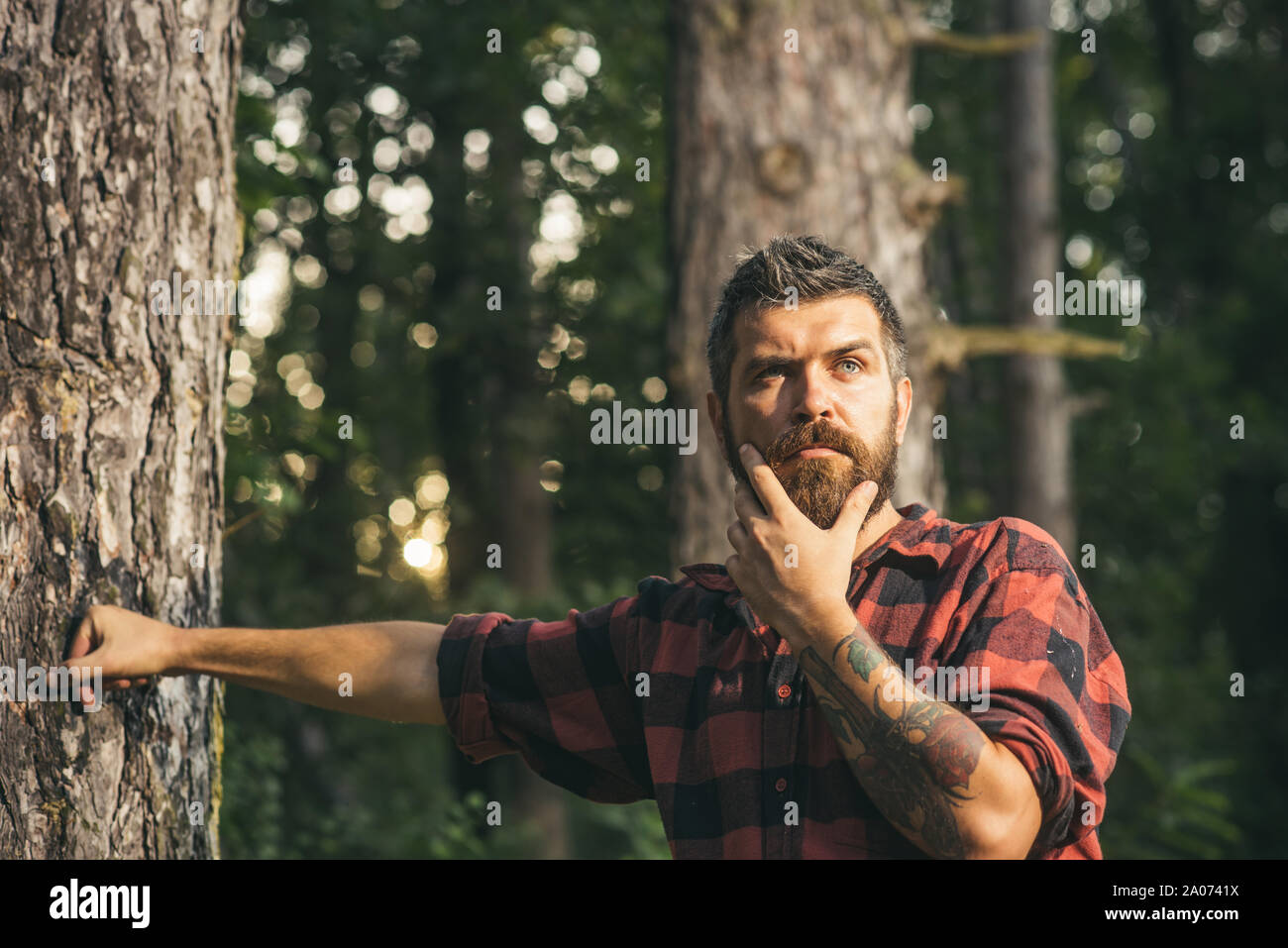Thoughtful bearded man standing next to tree. Curious lumberjack ...