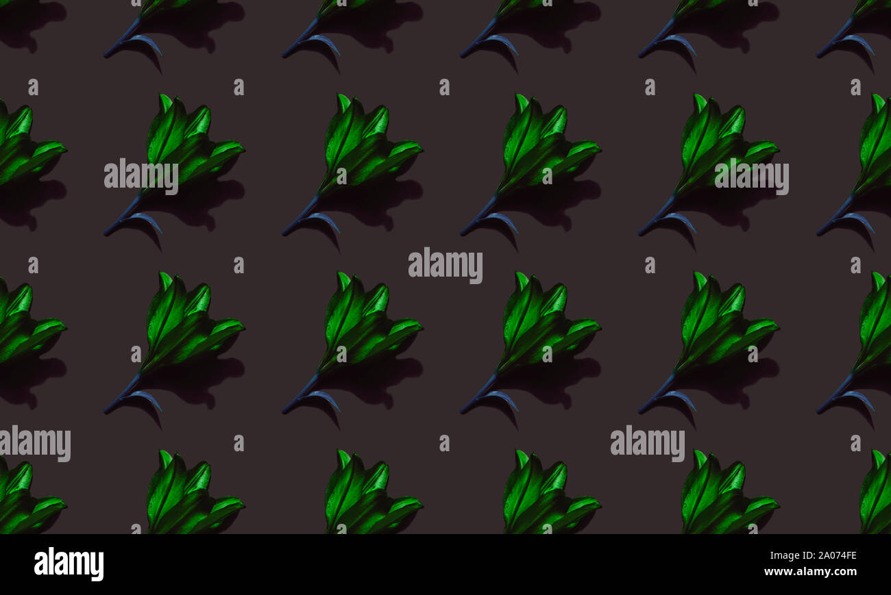 Seamless pattern of green lilies on dark background trend flat lay ...