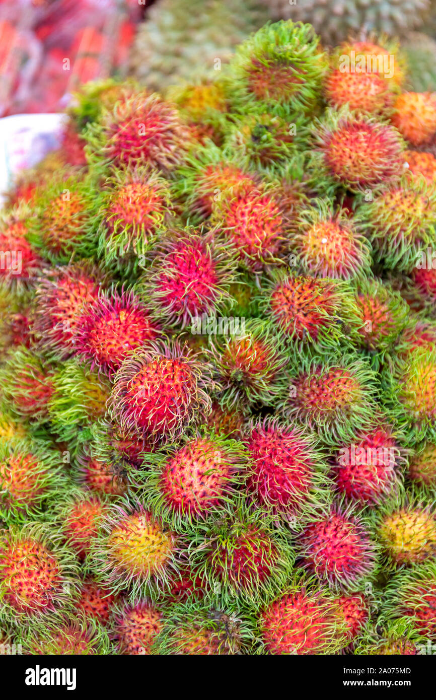 Bunch of Colourful Exotic Tropical Fruits Lychee Stock Photo - Alamy
