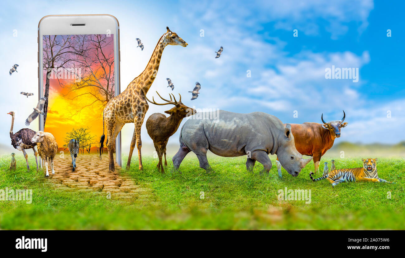 Wildlife Conservation Day Wild animals to the home. Or wildlife ...