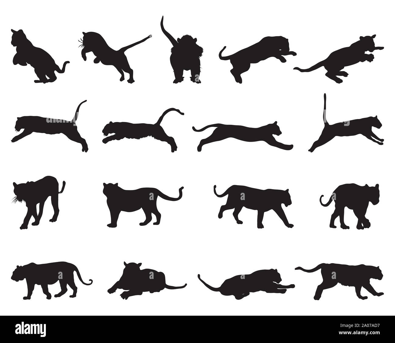 Black tiger silhouettes on white background Stock Photo - Alamy