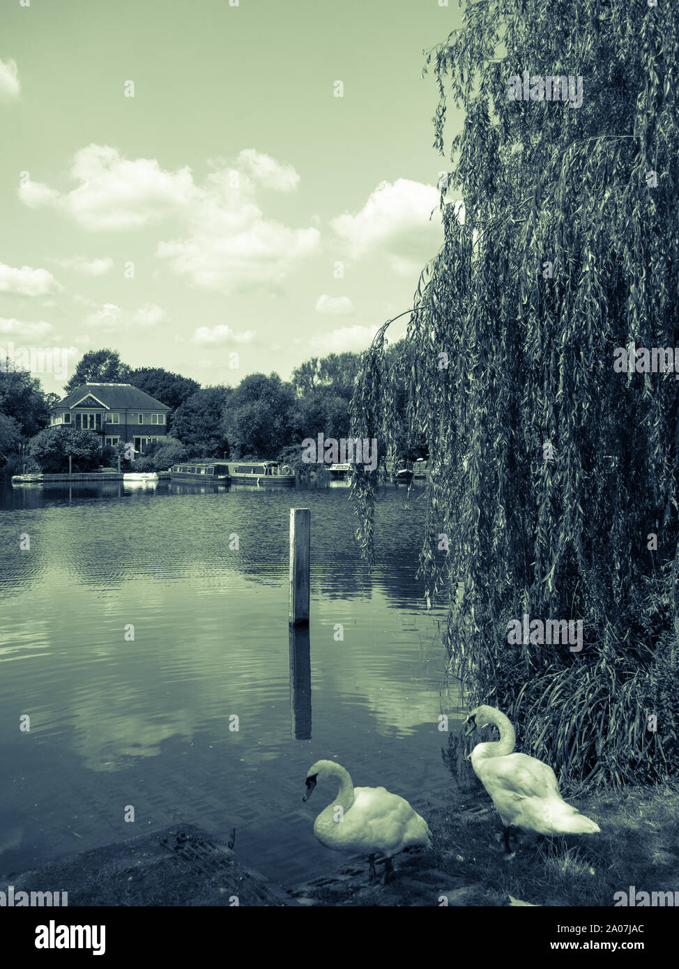 Laleham on thames hi-res stock photography and images - Alamy