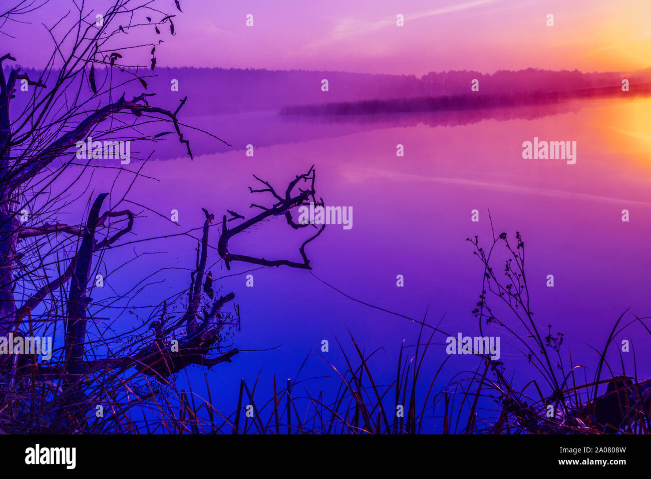 Purple sunrise over wild forest hi-res stock photography and images - Alamy