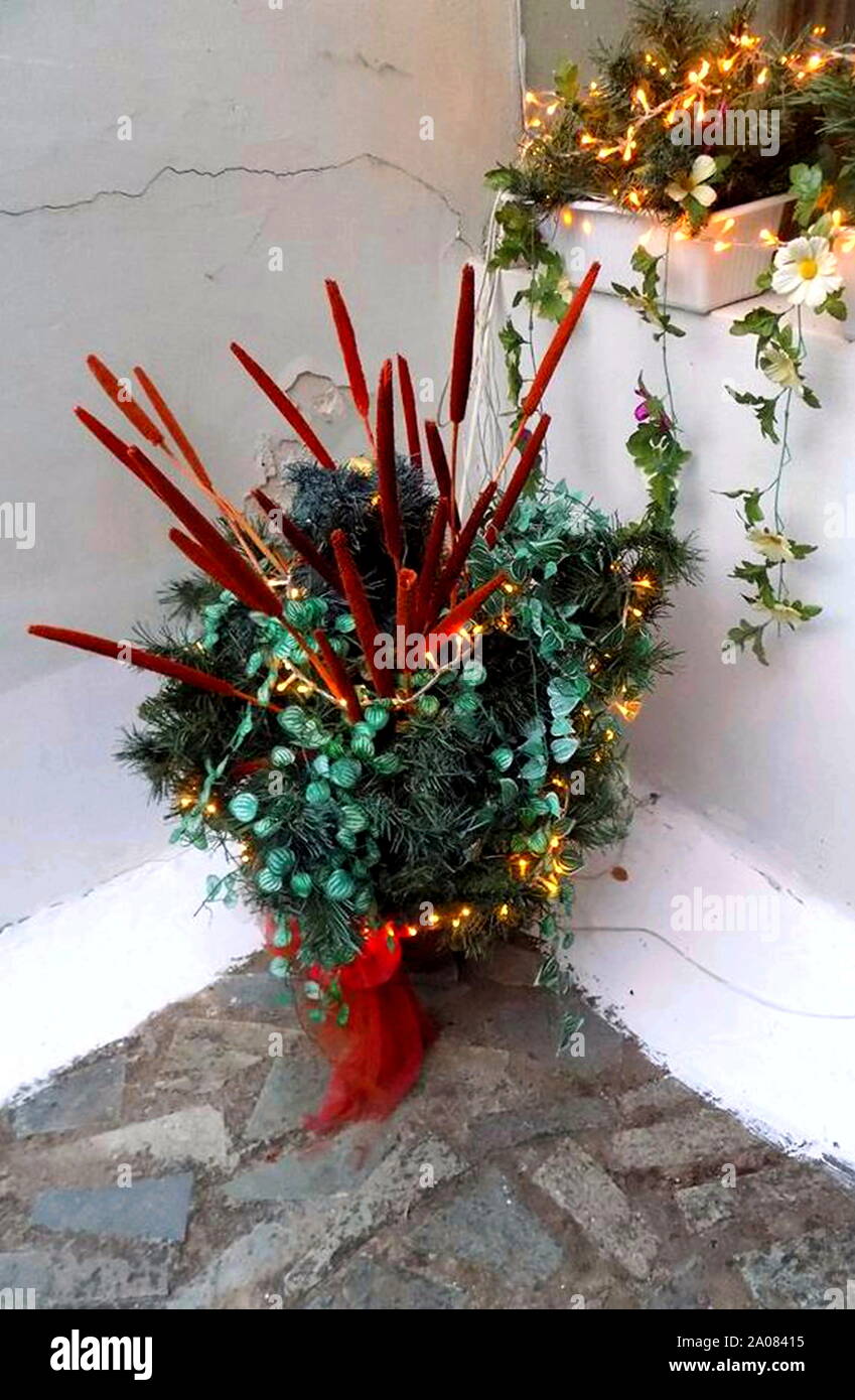 flower, colorful, pot, decoration, art Stock Photo - Alamy