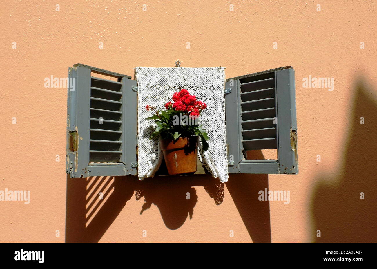 flower, colorful, pot, decoration, art Stock Photo - Alamy