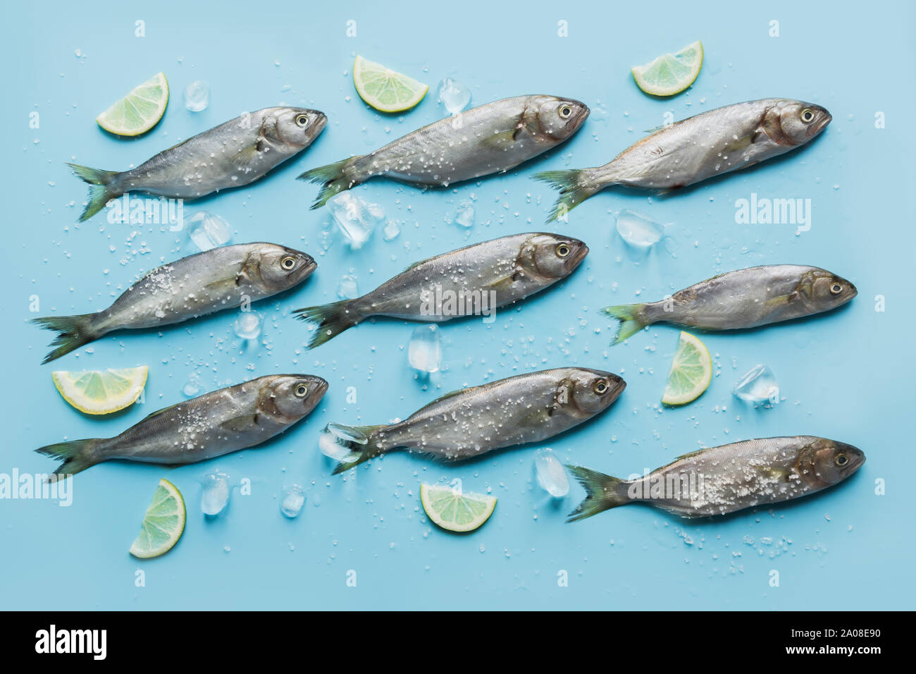 Bluefish with lemon, sea salt, lemon on pastel blue. Fish pattern with ...