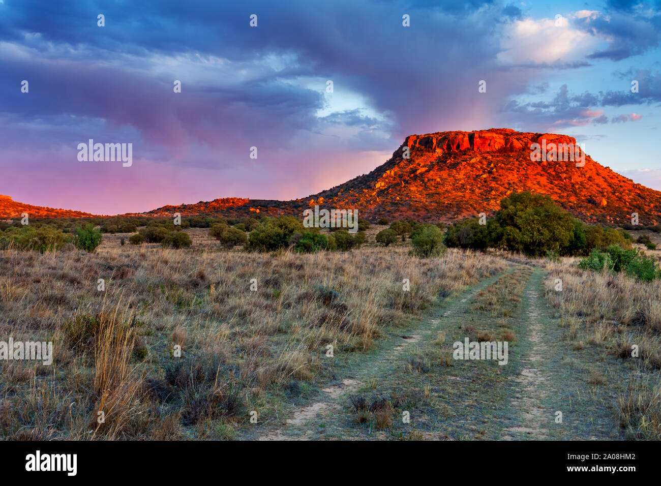 Red light hits a sandstone "koppie" in the Northern Free State Stock ...