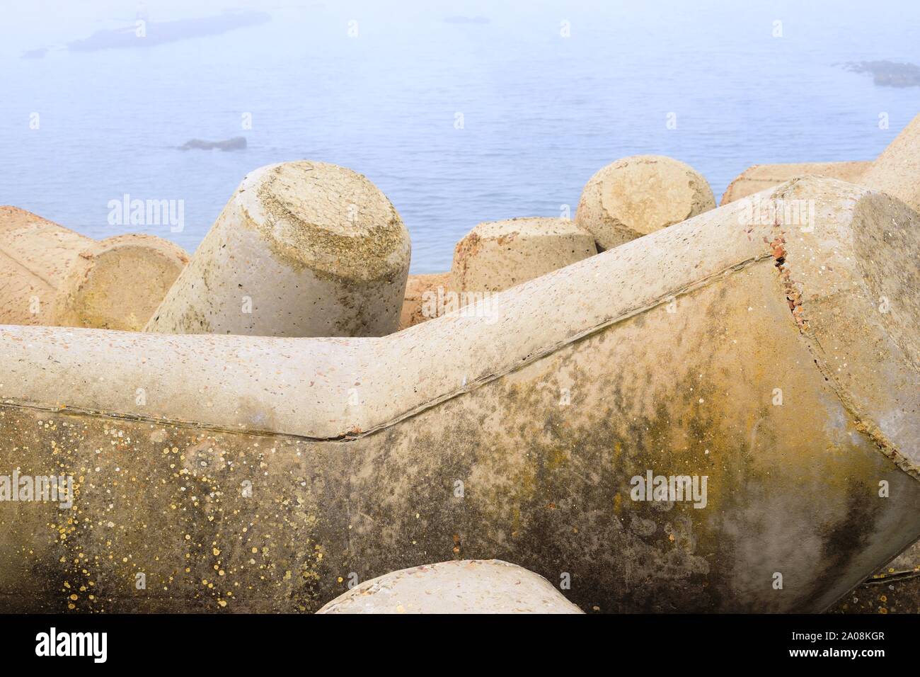 Tetrapod rock hi-res stock photography and images - Alamy