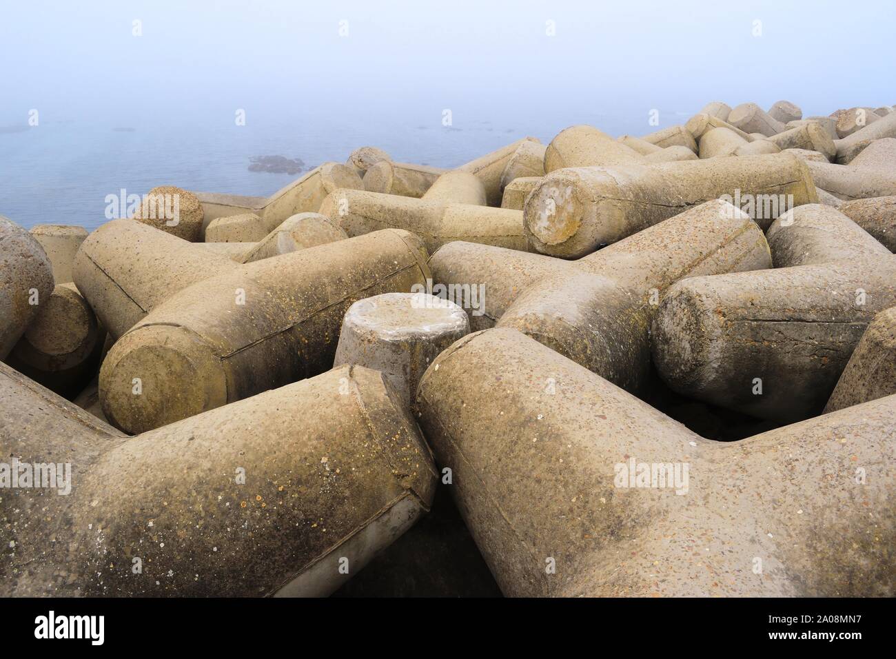 Tetrapod breakwaters in sea water seascape with concrete tetrapods for ...