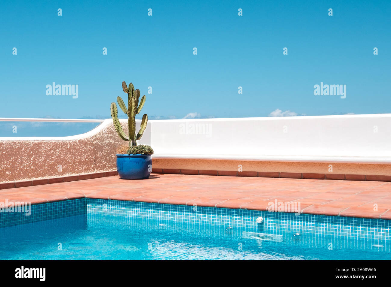 outdoor swimming pool with empty bench ,cactus in pot clear blue sky ...