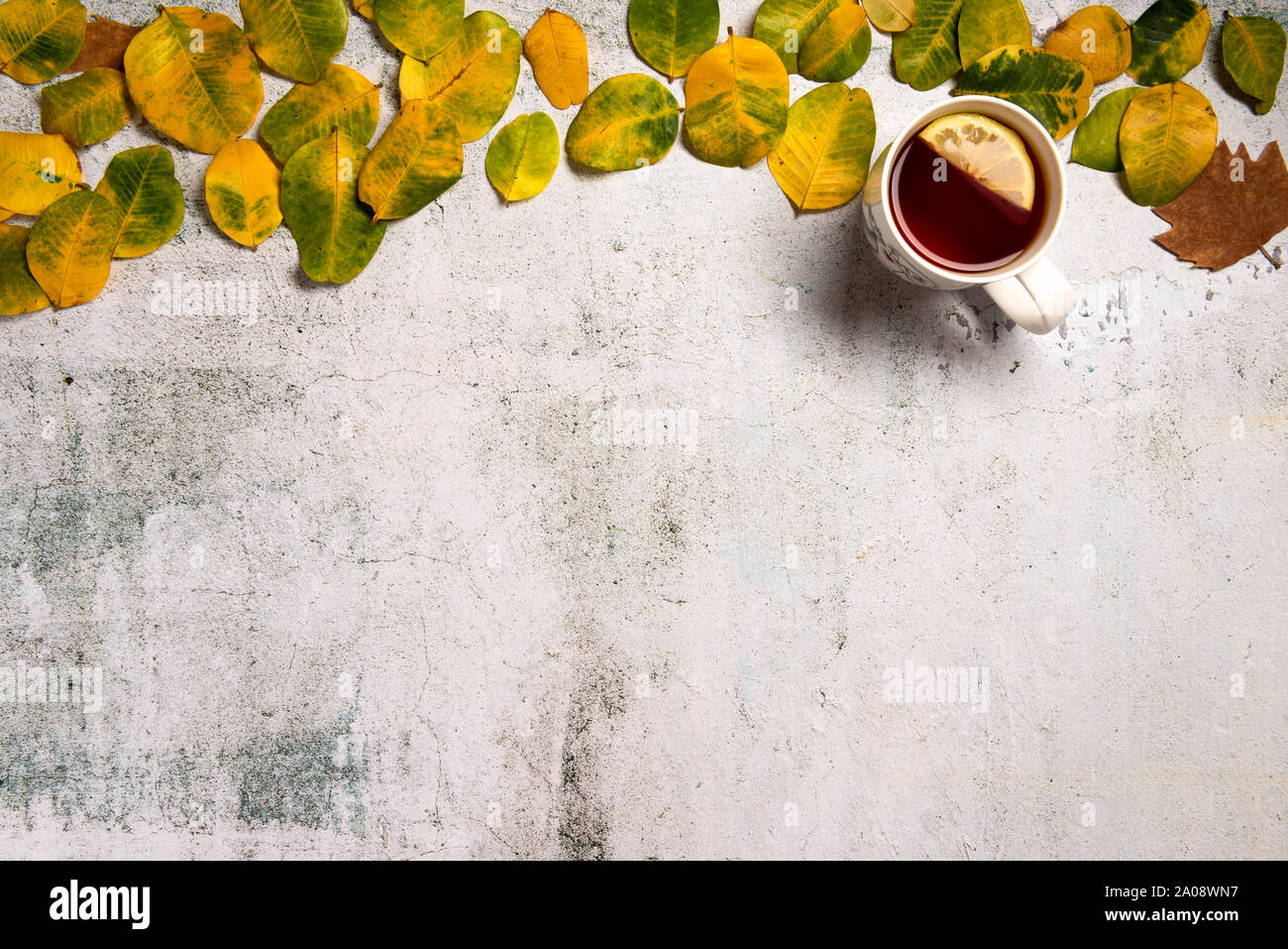 Cup of hot tea decorated by yellow autumn leaves over grey texture ...