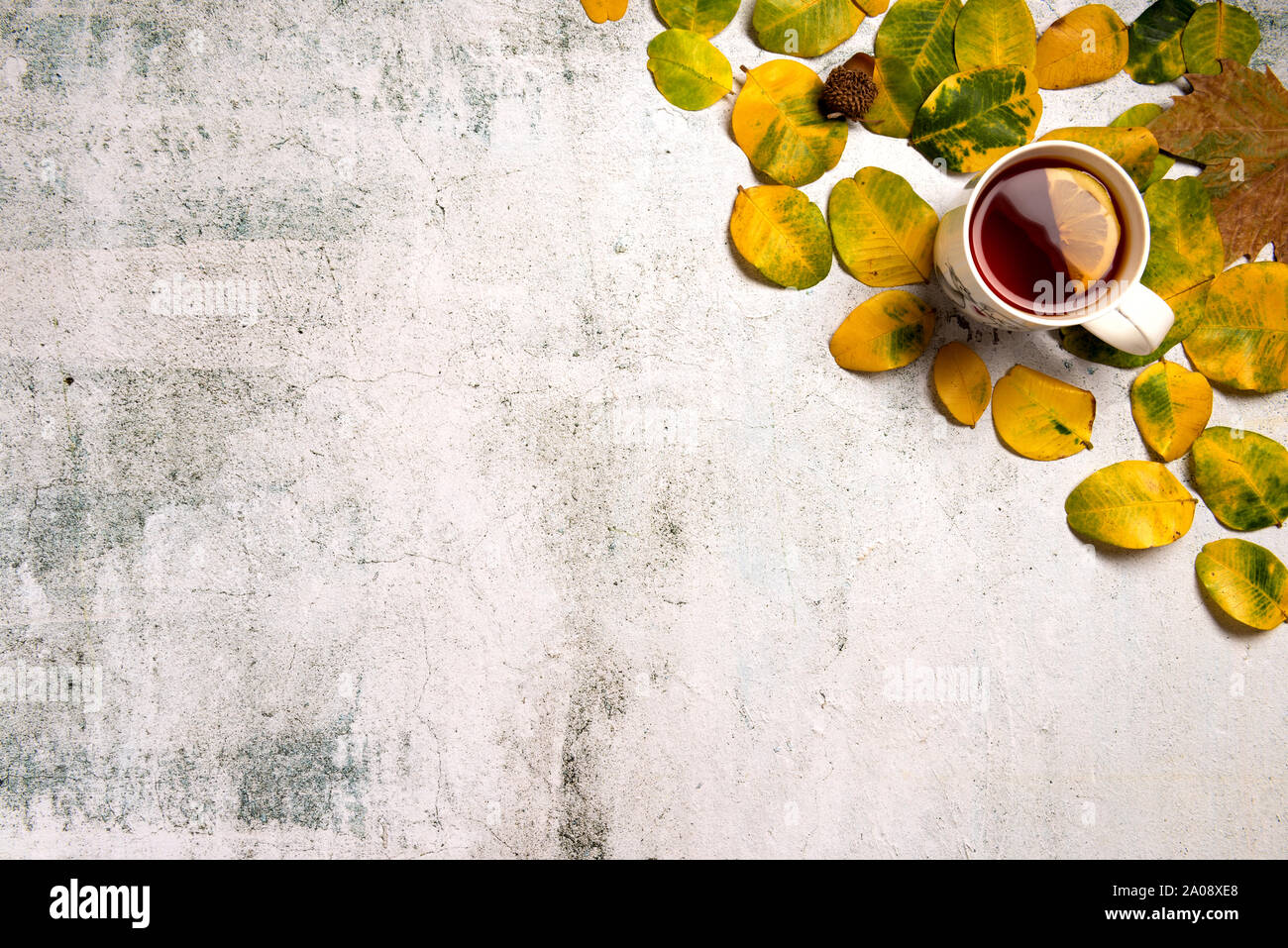 Cup of hot tea decorated by yellow autumn leaves over grey texture ...